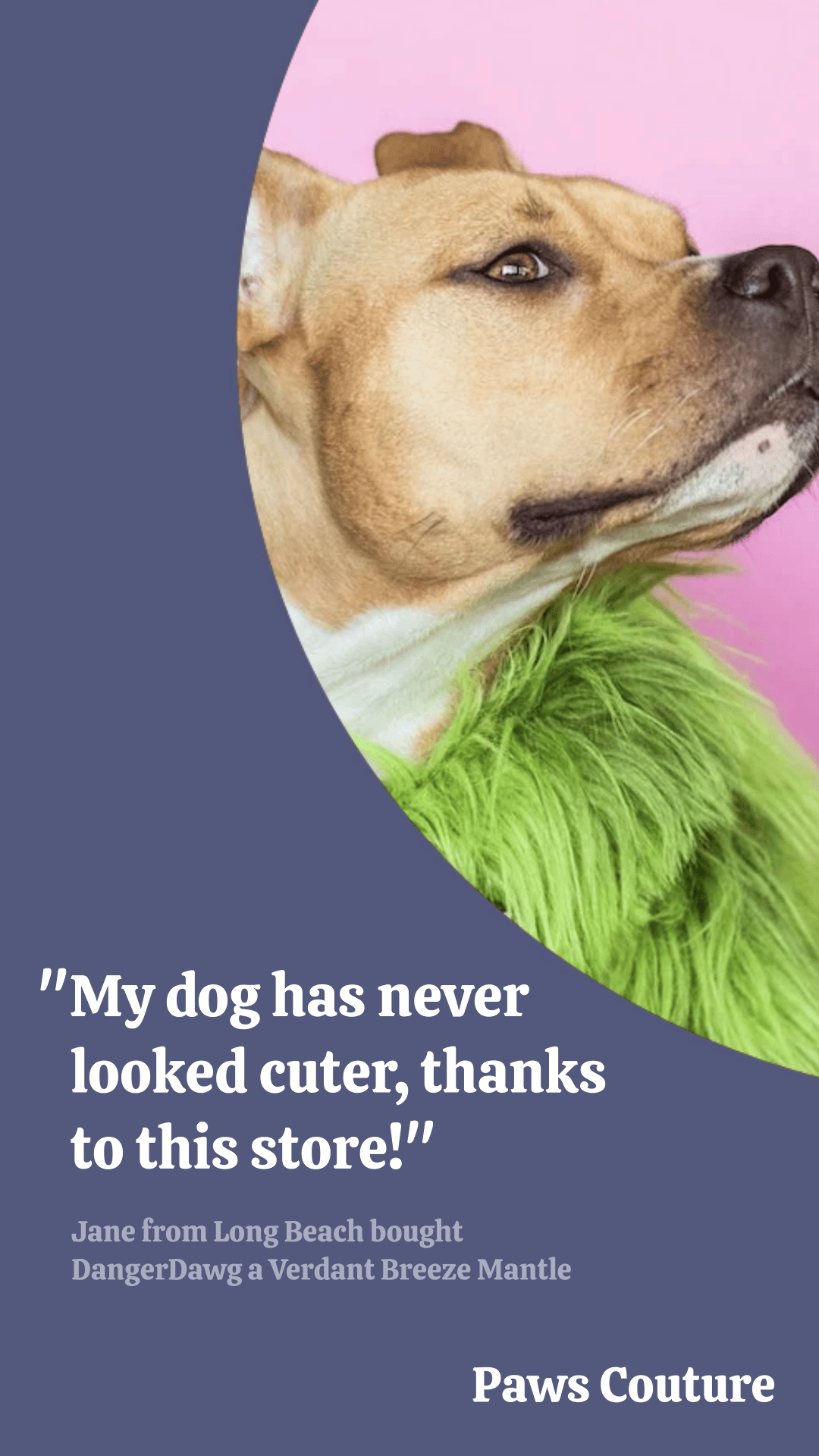 Animation for Social Media - Make Animated Clips - VEED.IO